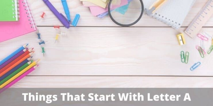 List of 116 Things That Start with A - With Detailed Explanation - FK ...