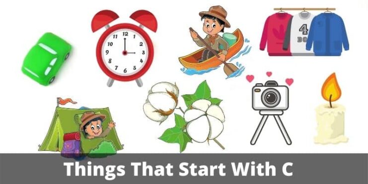 177 Things That Start With C - Get Your Buckle Up - FK Gold Standard