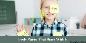 Human Body Parts That Start With E -List Explained - FK Gold Standard