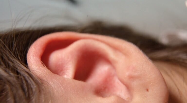 Human Body Parts That Start With E -List Explained