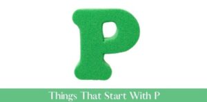 208 Things That Start With P -That You Should Know - FK Gold Standard