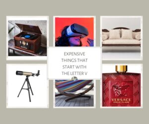 162 Things That Start With V - That Will Surprise You! - FK Gold Standard