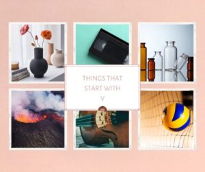 162 Things That Start With V - That Will Surprise You! - FK Gold Standard