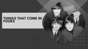 28 Things That Come In Fours - Interesting Observation - FK Gold Standard